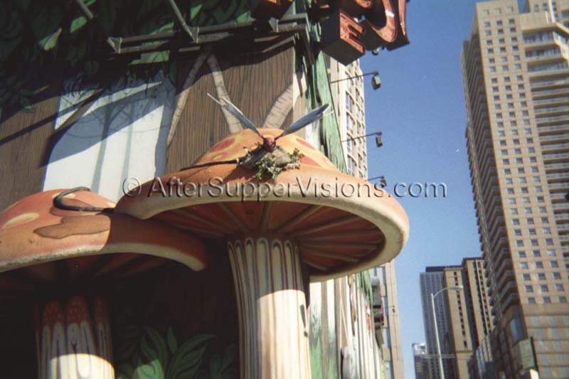 Gallery/Store - After Supper Visions