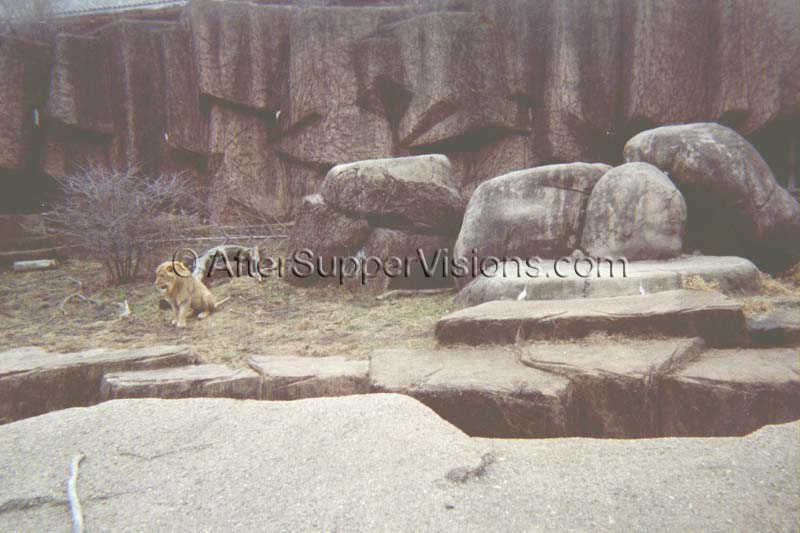 Gallery/Store - After Supper Visions